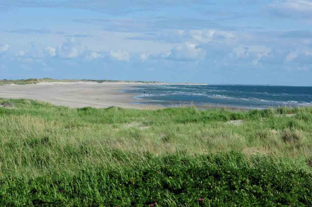 Am Strand vor Blavand – Chicos-Reiseblog